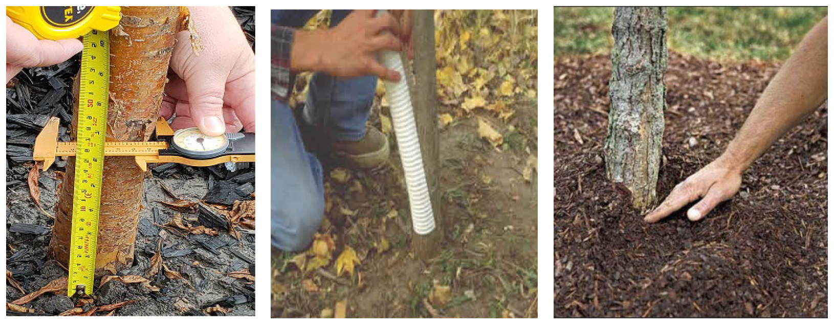 Landscaping Q & A | The Uplands at Riverview