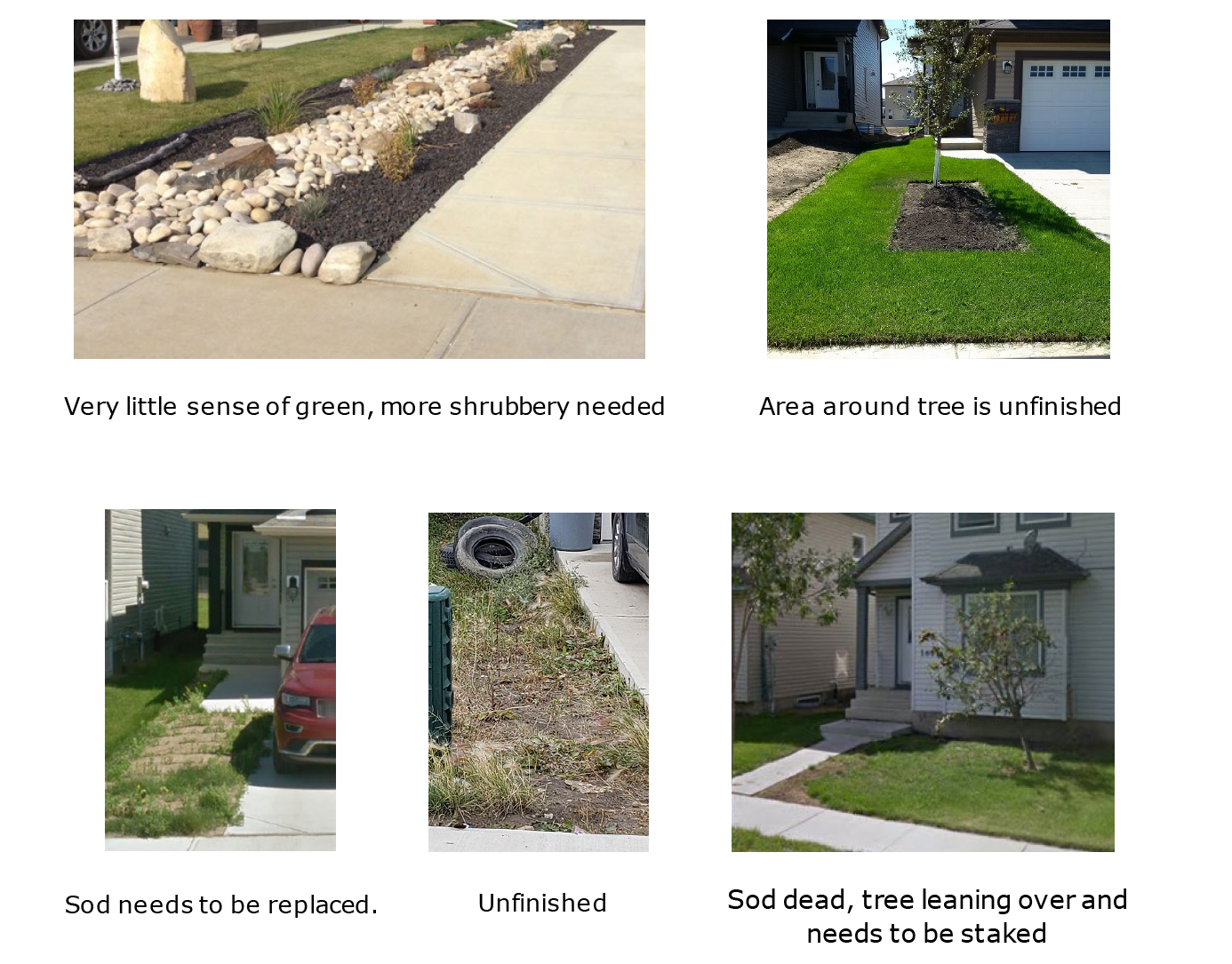 Landscaping Q & A | The Uplands at Riverview